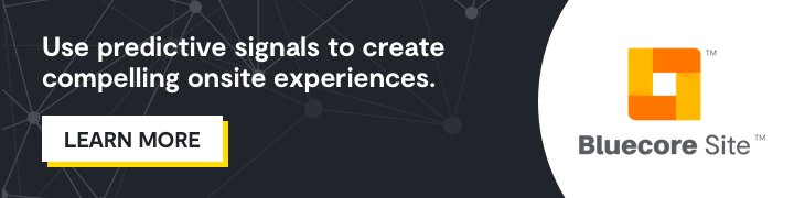 Prepare for the Next Era of Commerce at the Bluecore Summit 2019