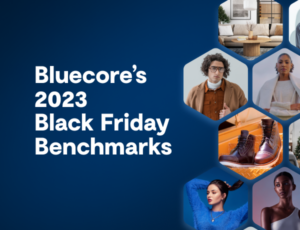 Bluecore's BFCM Hub - Bluecore