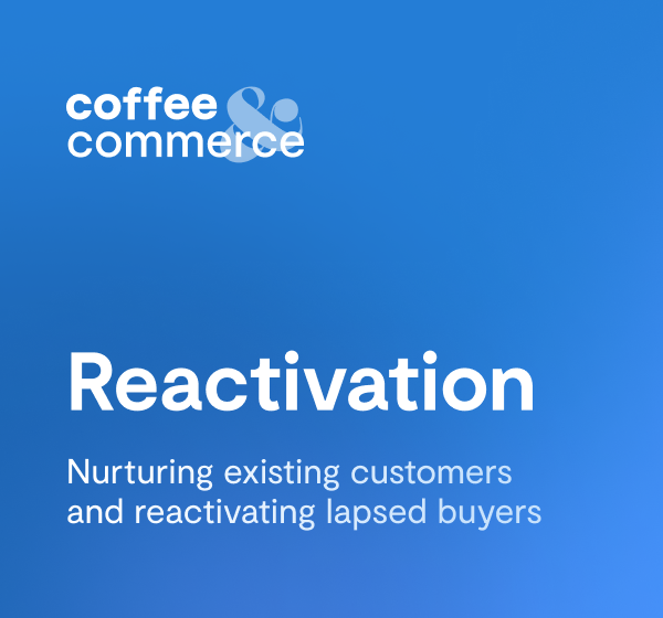 Learn to Reactivate Your Lapsed Buyers - Bluecore